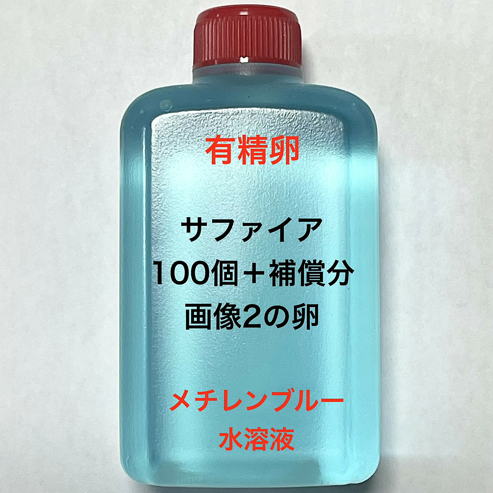 Z●※メダカの卵・有精卵初出荷※●サファイア★画像2のメダカの卵【サファイア：100個＋補償分】：在庫がなくなり次第終了致します。※●自店舗で生産している画像2のサファイアの有精卵を発送致します。卵ですので補償はありませんが多少多く入れて発...