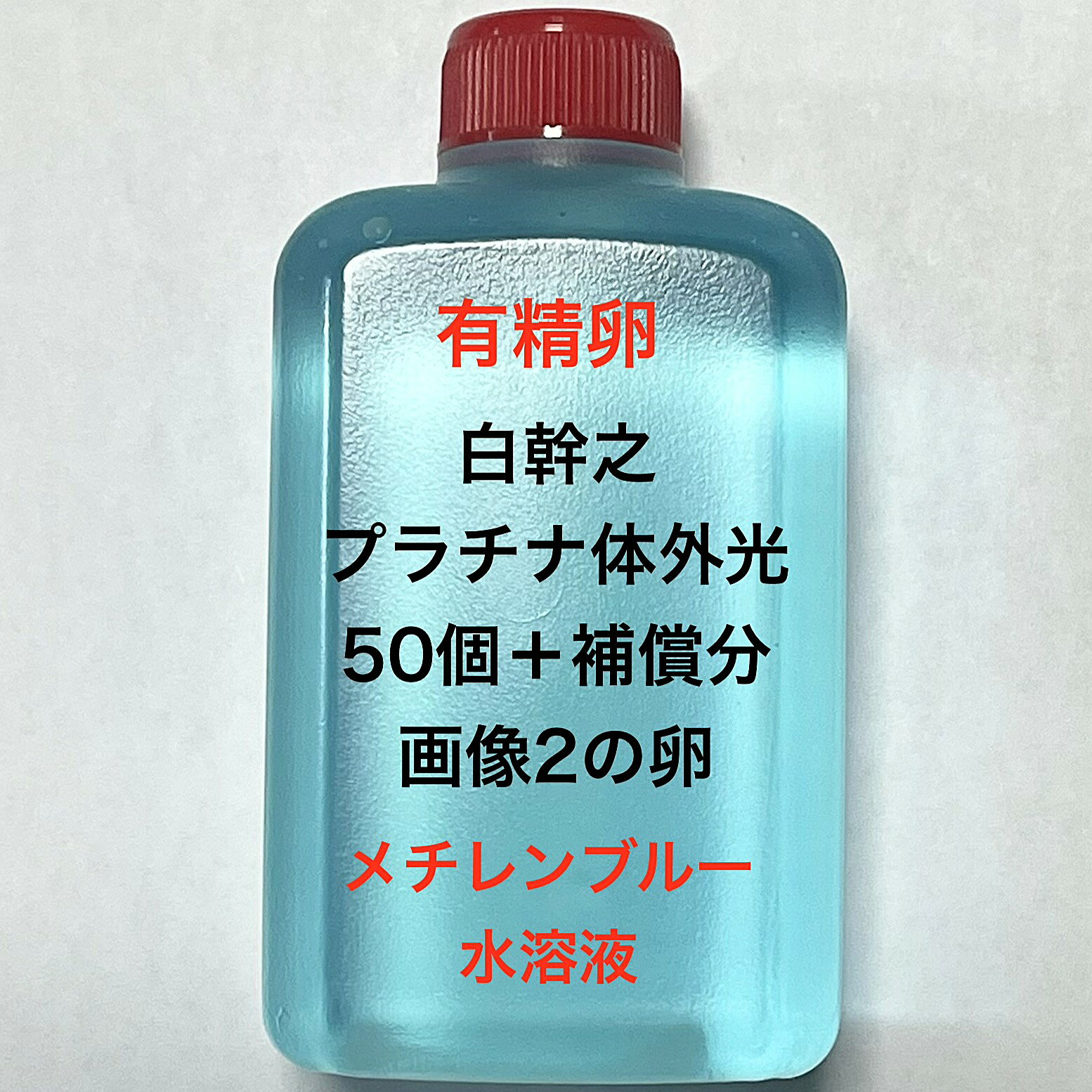D※メダカの卵・有精卵初出荷※●ホワイト系★体外光系★画像2のメダカの卵【白幹之プラチナ体外光有精卵：50個＋補償分】：在庫がなくなり次第終了致します。※●自店舗で生産している画像2の白幹之プラチナ体外光の有精卵を発送致します。卵ですので補...
