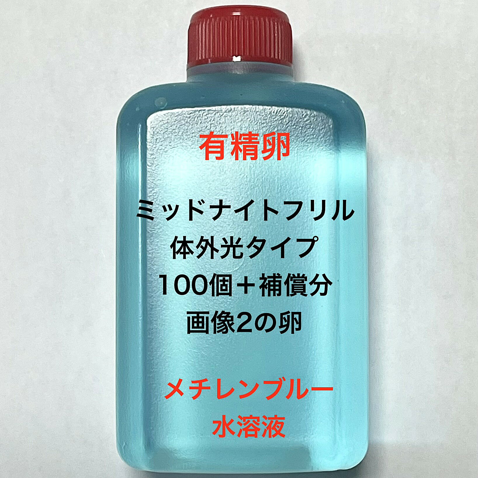 S※メダカの卵・有精卵初出荷※●ブラック系★画像2のメダカの卵【ミッドナイトフリル体外光有精卵：100個＋補償分】：在庫がなくなり次第終了致します。※●自店舗で生産している画像2のミッドナイトフリル体外光の有精卵を発送致します。卵ですので補...