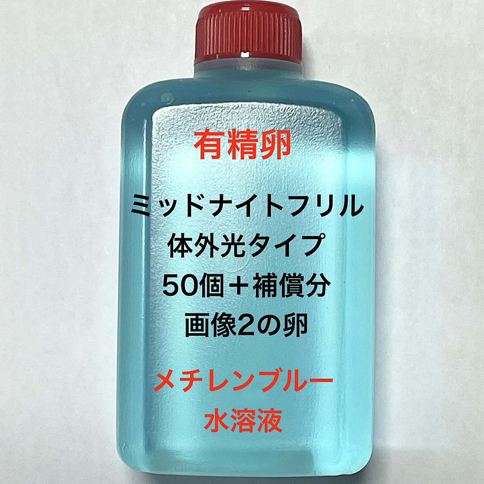 S※メダカの卵・有精卵初出荷※●ブラック系★画像2のメダカの卵【ミッドナイトフリル体外光有精卵：50個＋補償分】：在庫がなくなり次第終了致します。※●自店舗で生産している画像2のミッドナイトフリル体外光の有精卵を発送致します。卵ですので補償...