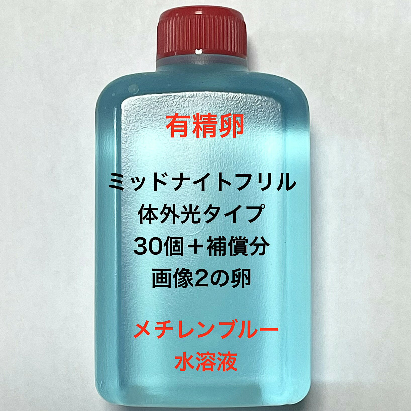 S※メダカの卵・有精卵初出荷※●ブラック系★画像2のメダカの卵【ミッドナイトフリル体外光有精卵：30個＋補償分】：在庫がなくなり次第終了致します。※●自店舗で生産している画像2のミッドナイトフリル体外光の有精卵を発送致します。卵ですので補償...