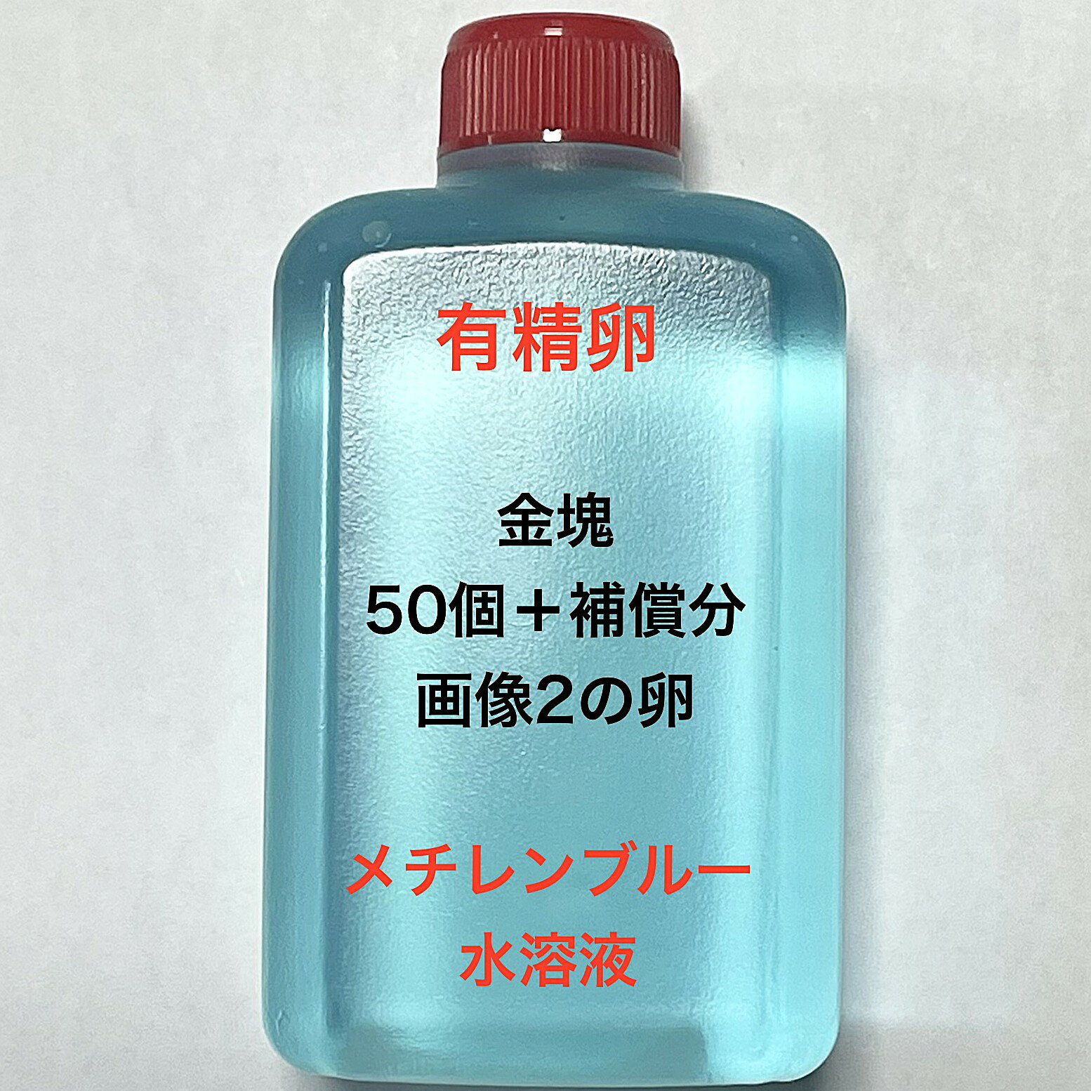 R●※メダカの卵・有精卵初出荷※●金塊★画像2のメダカの卵【金塊：50個＋補償分】：在庫がなくなり次第終了致します。※●自店舗で生産している画像2の金塊の有精卵を発送致します。卵ですので補償はありませんが多少多く入れて発送いたします。水カビ...