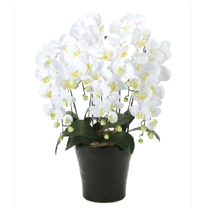 サイズ：約 幅53×奥行50×高さ74cm ※商品サイズは、花や葉が広がった状態での全体サイズ（器も含めた高さ）になります。 器：陶器 サイズ：約 上面Φ240mm 底面Φ170mm 高さ245mm 加工：光触媒加工（V-CAT） 生産国：...