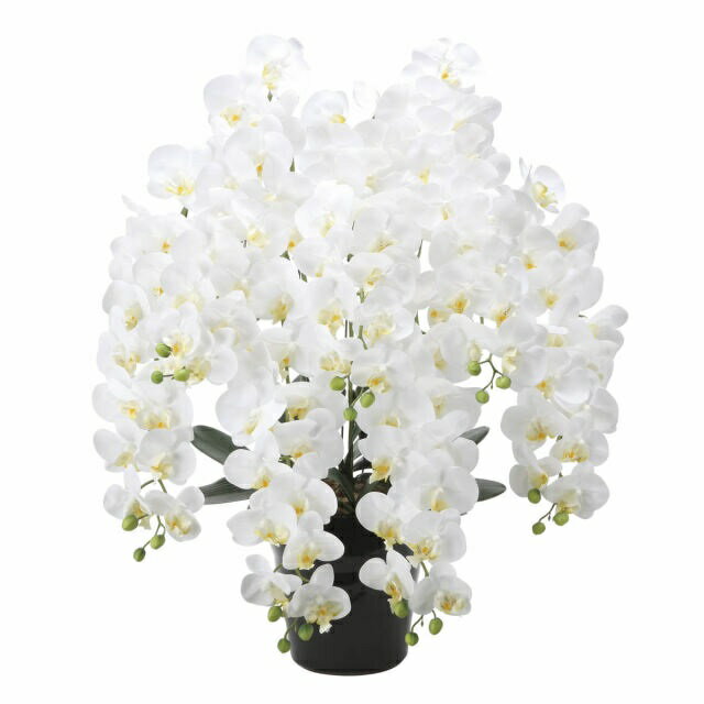 サイズ：約 幅80cm×奥行60cm×高さ90cm ※商品サイズは、花や葉が広がった状態での全体サイズ（器も含めた高さ）になります。 器：陶器 サイズ：約 上面Φ240mm 底面Φ170mm 高さ245mm 加工：光触媒加工（V-CAT） ...