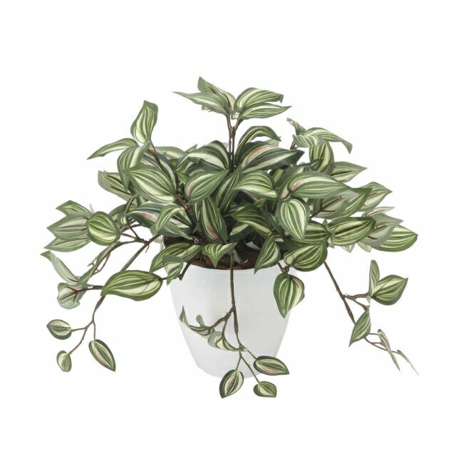 サイズ：約 幅45cm×奥行45cm×高さ32cm ※商品サイズは、花や葉が広がった状態での全体サイズ（器も含めた高さ）になります。 器：ポリプロピレン サイズ：約 上面145mm 底面90mm 高さ150mm 加工：光触媒加工（V-CAT...