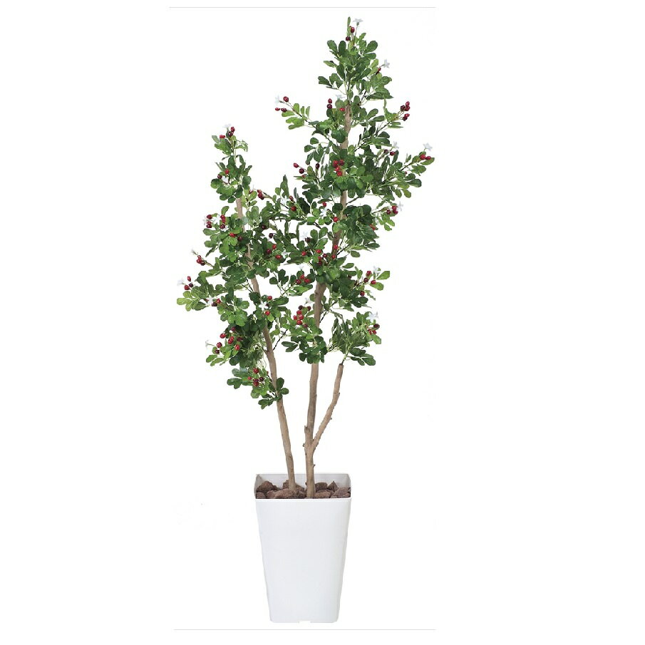 サイズ：約 幅52×奥行35×高さ125cm ※商品サイズは、花や葉が広がった状態での全体サイズ（器も含めた高さ）になります。 器：ポリプロピレン （角鉢） サイズ：約 上面245mm 底面170mm 高さ310mm 加工：光触媒加工（V-...