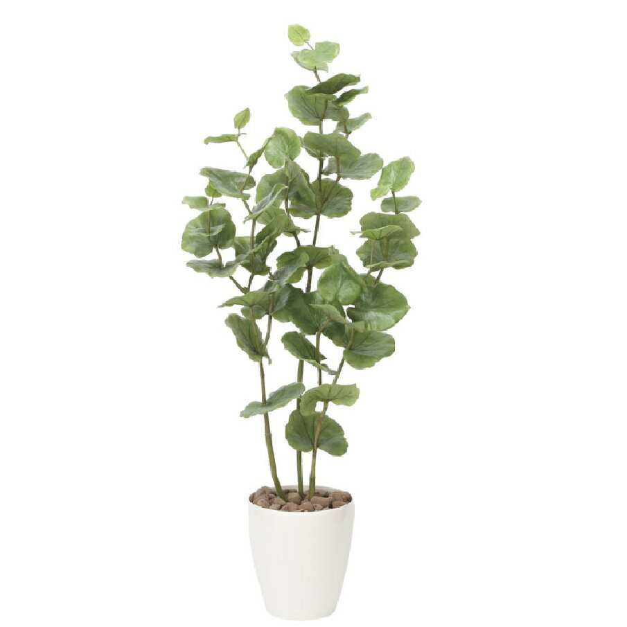 サイズ：約 幅50×奥行35×高さ120cm ※商品サイズは、花や葉が広がった状態での全体サイズ（器も含めた高さ）になります。 器：ポリプロピレン （丸鉢） サイズ：約 上面Φ226mm 底面Φ140mm 高さ246mm 加工：光触媒加工（...