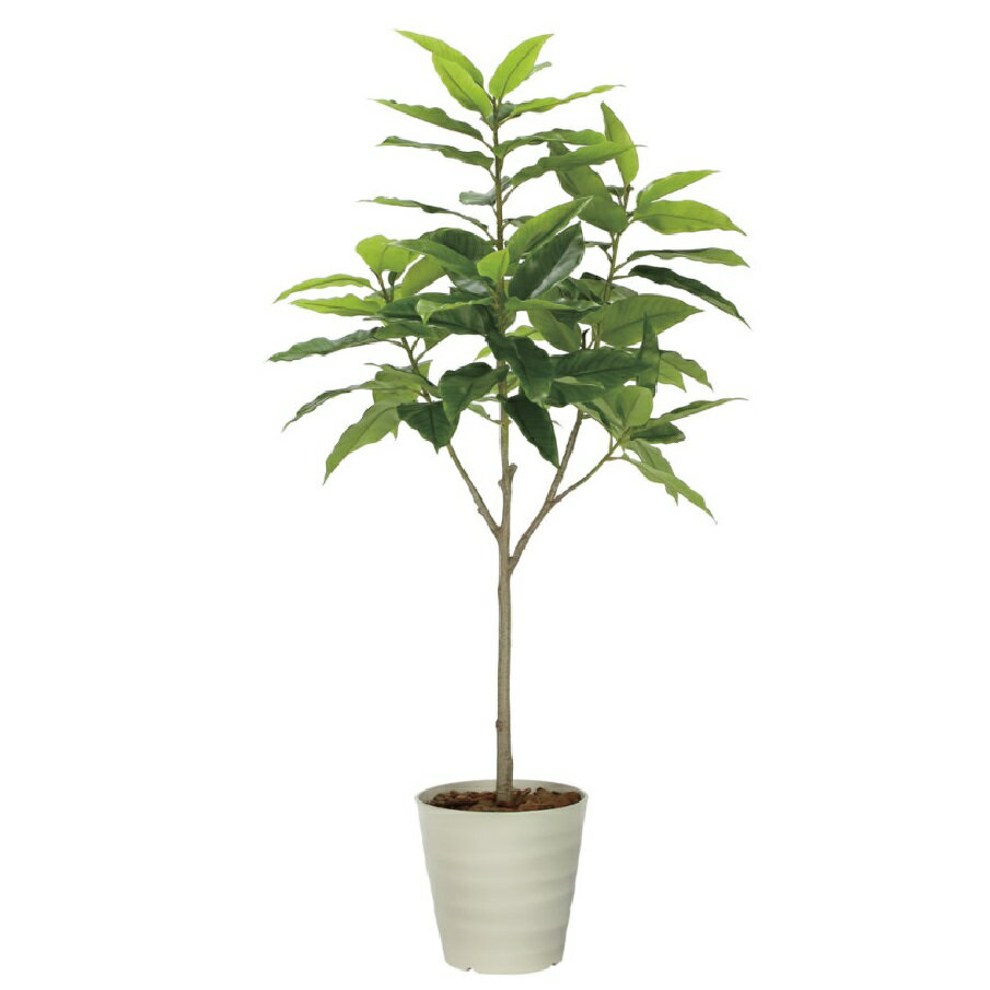 サイズ：約 幅80×奥行80×高さ160cm ※商品サイズは、花や葉が広がった状態での全体サイズ（器も含めた高さ）になります。 器：ポリプロピレン（丸鉢・F） サイズ：約 上面Φ300mm 底面Φ210mm 高さ295mm 加工：光触媒加工...