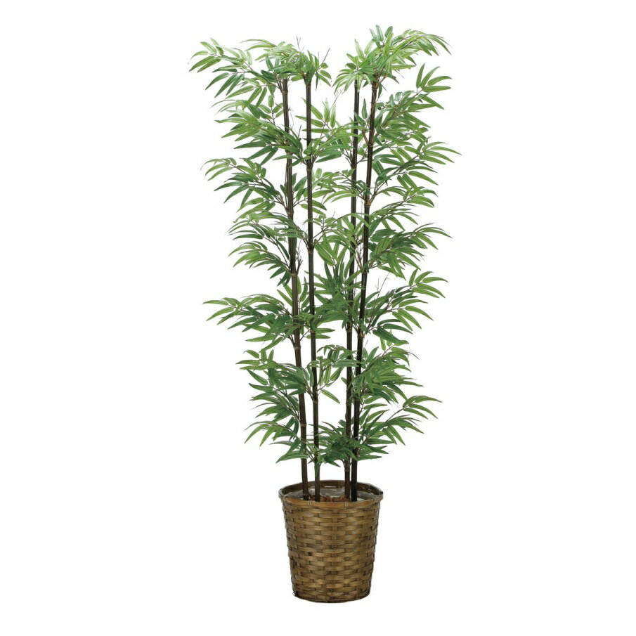 サイズ：約 幅70×奥行65×高さ160cm ※商品サイズは、花や葉が広がった状態での全体サイズ（器も含めた高さ）になります。 器：ポリエチレン・バンブー サイズ：約 上面Φ270mm 底面Φ250mm 高さ260mm 鉢カバーサイズ：約 ...