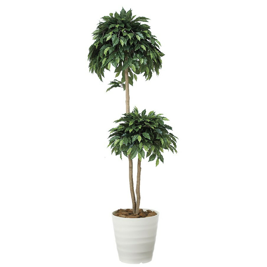 サイズ：約 幅50cm×奥行50cm×高さ180cm ※商品サイズは、花や葉が広がった状態での全体サイズ（器も含めた高さ）になります。 器：ポリプロピレン（丸鉢・F） サイズ：約 上面Φ350mm 底面Φ210mm 高さ340mm 加工：光...