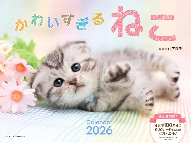 2026 かわいすぎるねこカレンダー〈ふわふわ、キュートな子猫が毎日を彩る〉（壁掛け / 月めくり / 大判） ([カレンダー])