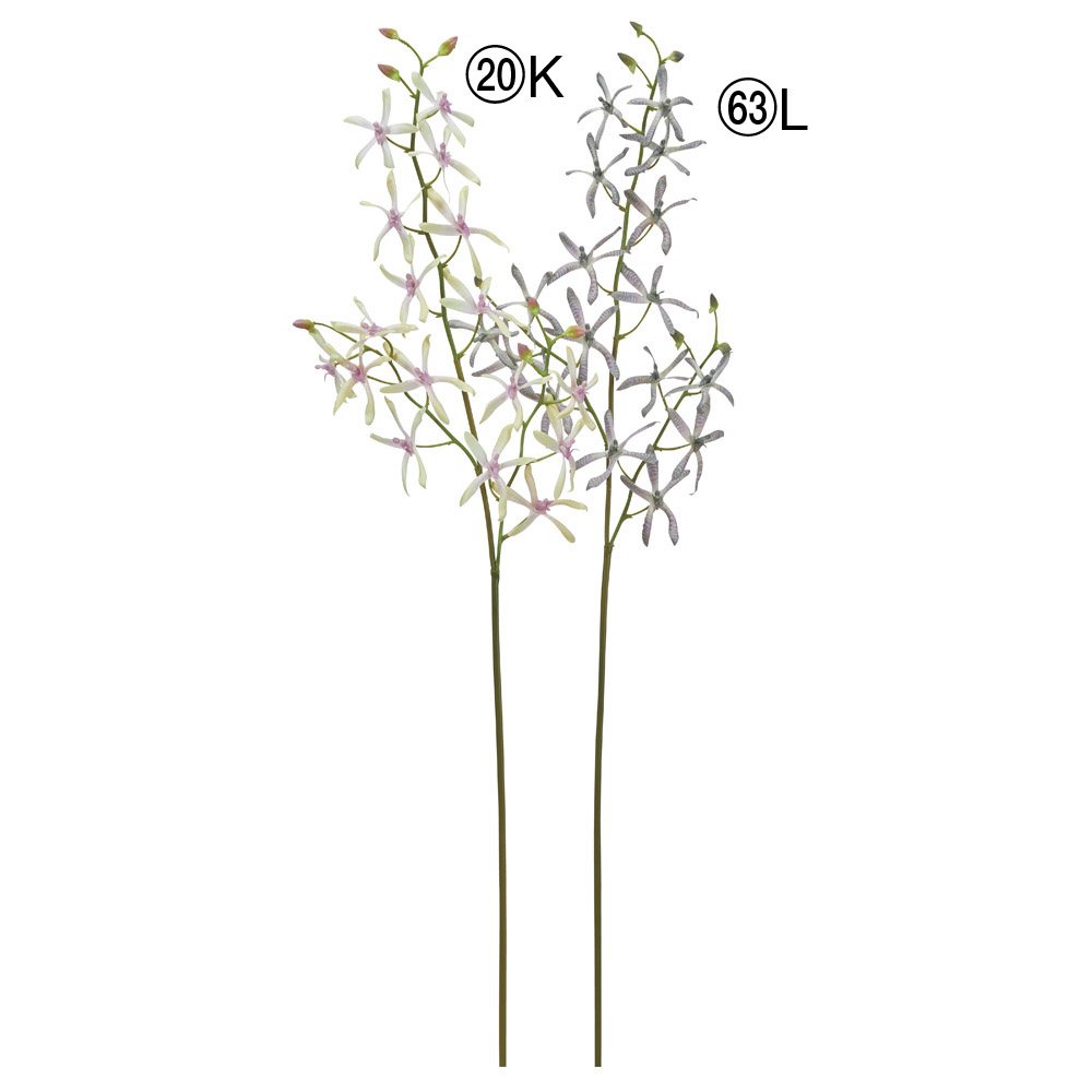 ・--・--・--・--・--・--・--・--・--・--・--・*本ページ商品の年末年始の出荷について*年内最終→12/26(金) AM11時までの決済完了分を12/27(土)発送予定年始最初→12/29(月) AM11時までの決済完了...