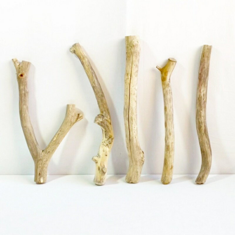 INFOMATION商品名流木 棒 枝 30cm～50cm インテリア 観葉植物 ハンギング ハンガー 吊り下げ 壁掛け 園芸 1m以下 長い 短い 太い 細い 大 中 小 流木アート DIY 吊るす 玄関 素材 現物画像 1点物 ウッドス...