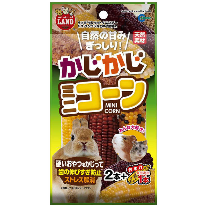 【商品解説】適度なかたさで歯の健康をサポート！！小動物が大好きな適度なかたさのコーンは、かじり木の代わりになり、かじることで歯の伸びすぎを予防します。【スペック】●型式：（カジミニコーン2ホン+1）●JANコード：4906456560012...