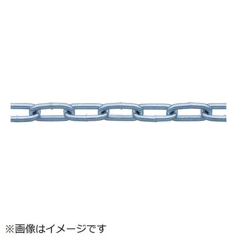 【商品解説】●切断済みチェーンですので、即時にご使用いただけます。【用途】・間仕切り・転倒防止。【仕様】全長（m）：3、線径d（mm）：5．5、内長P（mm）：30、内幅W（mm）：9、使用荷重（kN）：1．96、質量（kg）：1．59【材...