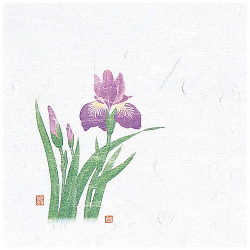 【商品解説】4寸OP懐石敷紙 菖蒲（100枚入）●無蛍光雲竜和紙に光沢を抑えたPPフィルムを貼合せた四季彩料理敷紙です。☆絵柄の上に直接お料理を盛り付けることができます。・サイズ：約12×12cm・重量：140g・保証期間：初期不良対応【ス...