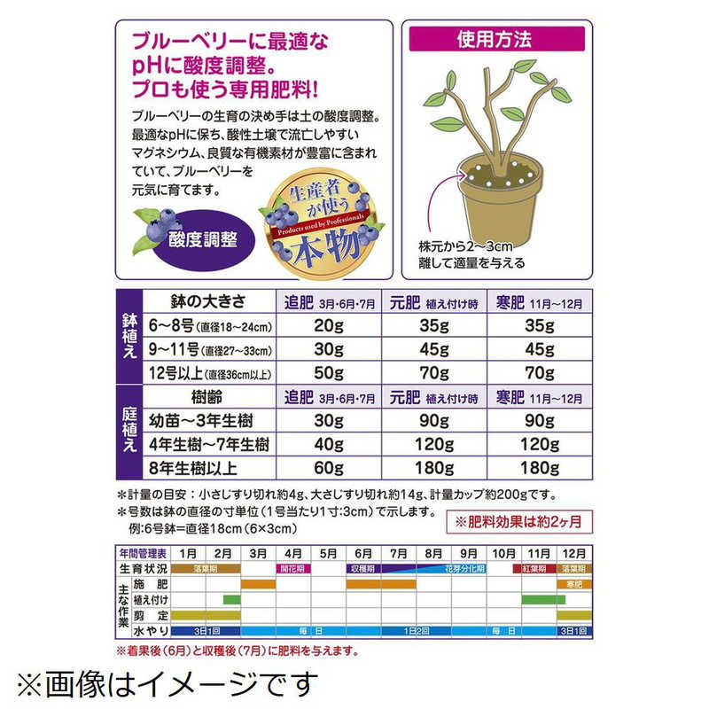 【商品解説】花ごころのブルーベリー専用肥料です。チッソ、リン酸、カリ、マグネシウム、鉄分がバランスよく配合されており、ブルーベリーの生育に最適です。肥料登録保証票付きで安心してお使いいただけます。【スペック】●型式：2057659（2057...