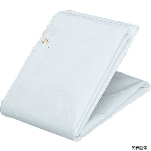 【特長】 ●軽量で作業性が向上します。 ●強度が高く光透過性に優れています。 ●焼却時、ダイオキシン類の発生が少ないシートです。 ●使用環境温度：-40℃〜60℃で寒冷地でも使用可能です。 【用途】 ●建築、建設などの壁面養生に。 【仕様】...
