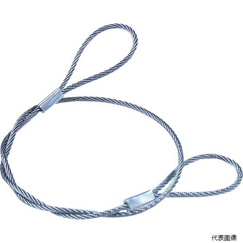 【特長】 ●両端アイ加工済みですぐに使えます。 ●細くても強度があり目立ちません。 【用途】 ●キャップやカバーなどの紛失防止の連結金具に。 ●看板などの吊り下げ。 【仕様】 ●ロープ径(mm)：1.2 ●長さ(m)：0.6 ●長さ(mm)...