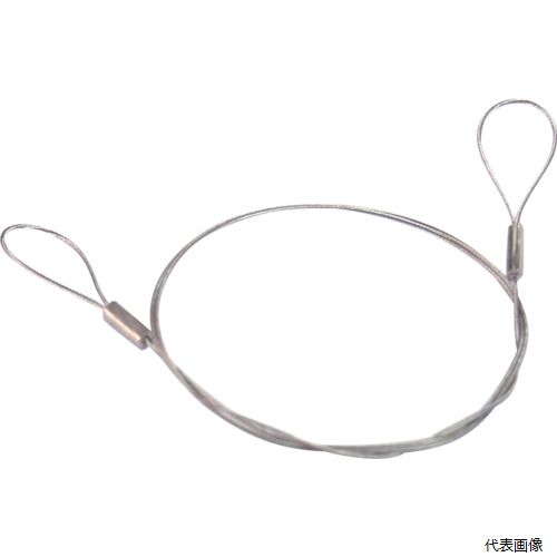 【特長】 ●両端アイ加工済みですぐに使えます。 ●細くても強度があり目立ちません。 【用途】 ●キャップやカバーなどの紛失防止の連結金具に。 ●看板などの吊り下げ。 【仕様】 ●ロープ径(mm)：0.36 ●長さ(m)：0.9 ●長さ(mm...