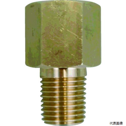 【特長】 ●圧力計に付属し、接続ねじを変換します。 ●取付ねじd1×d2：G3/8×R3/8 ●ねじ長さ(mm)：18 ●全長(mm)：38 ●頭部径(mm)：22×25.4 ●継手 【材質／仕上】 ●黄銅 【入数】 ●1個 他のサイズはこ...