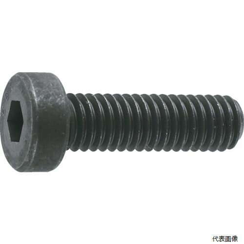 【特長】 ●頭部形状が低頭のため、頭部がじゃまになる箇所に最適です。 【用途】 ●頭部がじゃまになる時に使用します。 【仕様】 ●寸法(mm)d：M6 ●寸法(mm)L：16 ●ねじピッチ(mm)：1 ●ねじ部長さ(mm)：16 ●タイプ(...
