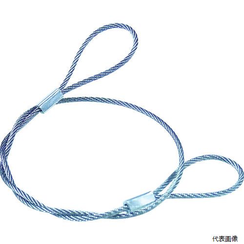【特長】 ●両端アイ加工済みですぐに使えます。 ●細くても強度があり目立ちません。 【用途】 ●キャップやカバーなどの紛失防止の連結金具。 ●看板などの吊り下げ。 【仕様】 ●ロープ径(mm)：1.5 ●長さ(m)：0.3 ●長さ(mm)：...