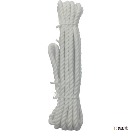 【特長】 ●強度・耐水性・耐薬品性に優れたロープです。 【用途】 ●トラックの荷締めなど。 ●色：白 ●線径(mm)：9 ●長さ(m)：5 ●包装形態：裸 ●引張強度(kN)：7.4 ●引張強度KN(kgf)：7.4(760) ●両端アイ加...