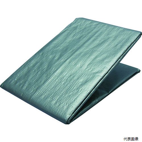 【特長】 ●シートと同一素材（PE）でハトメを成型・溶着することではく離・脱落せず変形も少なく、高強度を実現しました。 ●紫外線耐候剤配合で防水性が高いです。 【用途】 ●機械カバー、養生用シートなど。 ●色：シルバー ●幅(m)：1.71...