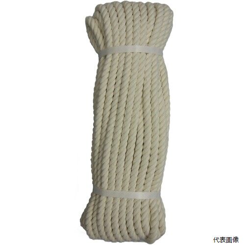 【特長】 ●安価で軽量、強度に優れたロープです。 【用途】 ●一般作業などの各種結束。 ●色：白 ●線径(mm)：9 ●長さ(m)：20 ●包装形態：袋入 ●引張強度(kN)：4.21 ●引張強度KN(kgf)：4.21(430) ●両端テ...