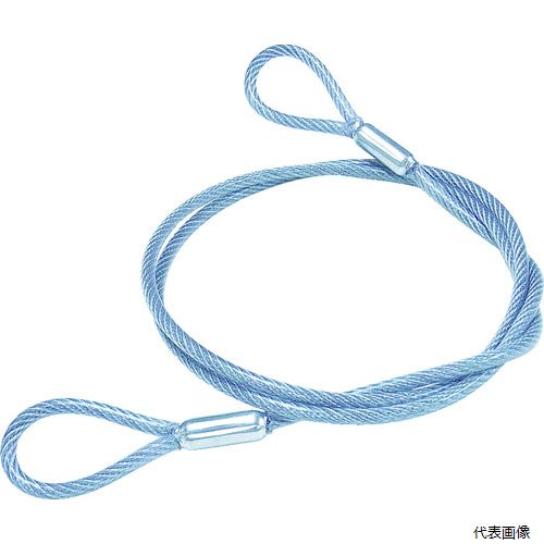 【特長】 ●両端アイ加工済みで、すぐに使えます。 ●細くても強度があり、目立ちません。 ●ワイヤ保護用のコーティング付です。 【用途】 ●キャップやカバーなどの紛失防止金具として。 ●看板などの吊り下げ。 【仕様】 ●ロープ径(mm)：3(...