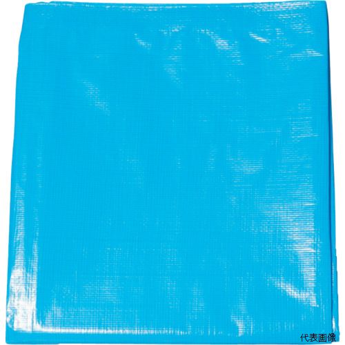 【特長】 ●#3000よりやや薄手で幅広く使用されるベーシックシートです。 【用途】 ●雨除け等の野積みカバーや屋根補修用カバー、土木・建築などの天井面、壁面、床面の養生用途に。 【仕様】 ●幅(m)：1.71 ●長さ(m)：3.51 ●厚...