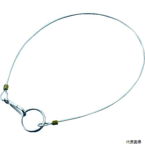 【特長】 ●サビに強いステンレス製ワイヤの両端にリングとフックが付いています。 ●バルブ表示札などの設置に簡単・便利です。 【用途】 ●バルブ表示札などの設置に。 【仕様】 ●長さ(mm)：300 ●径(mm)：0.8 ●内径(mm)：15...