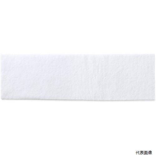 【特長】 ●たっぷり気兼ねなく使えるエコノミータイプ 【用途】 ●からぶき用ダスターとして 【仕様】 ●幅(mm)：200 ●長さ(mm)：650 ●シートサイズ(mm)：200×650 ●シート短辺(mm)：200 ●シート長辺(mm)：...