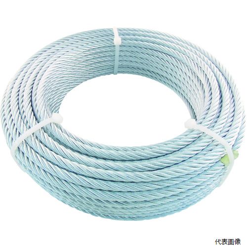 【特長】 ●JIS規格品ワイヤロープです。 ●玉掛けワイヤの製作等にもご使用頂けます。 ●メッキ付のため、耐食性にも優れています。 【用途】 ●船舶、漁業、土木建築他。 【仕様】 ●ロープ径(mm)：6 ●長さ(m)：10 ●使用荷重(kg...