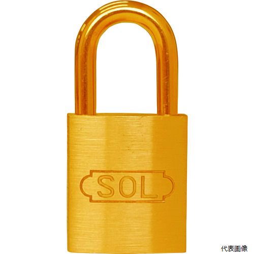 【特長】 ●本体およびツルは真鍮となります。また内部のスプリングはステンレスを使用していますので強度と耐久性に優れています。 【用途】 ●各種の扉、郵便受け箱、ロッカー、ハンドバッグ、カバン、自転車、工場現場の保管箱、工具箱、車止ポールなど...
