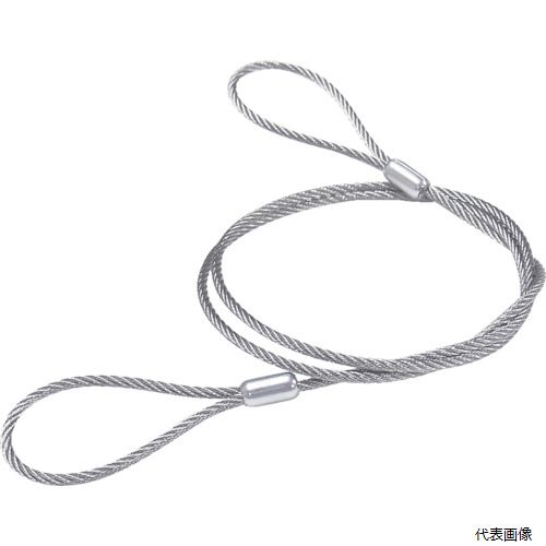 【特長】 ●両端アイ加工済みですぐに使えます。 ●細くても強度があり目立ちません。 【用途】 ●キャップやカバーなどの紛失防止の連結金具。 ●看板などの吊り下げ。 【仕様】 ●ロープ径(mm)：2.5 ●長さ(m)：0.3 ●長さ(mm)：...
