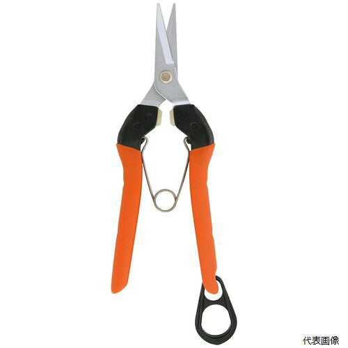 【仕様】 ●ステンレス鋼 ●ギザ刃 【特長】 ぶどう収穫専用ギザ刃付き鋏 太い軸や木質で硬い軸もギザ刃付シャインカットで楽々収穫！ 刃の長さ35mm 【カラー】 ●オレンジ 【サイズ】 ●175mm 【入数】 ●1ヶ -- 関連商品はこちら...
