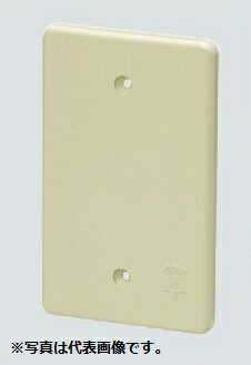 ※お客様のご都合による商品の返品・交換・キャンセルは受け付けておりません。商品仕様をご確認の上、お間違いの無いようお願い致します。◆メーカー:未来工業 ◆品名:露出スイッチボックス用カブセ蓋 ベージュ ◆品番:PVR-CSJ(PVRCSJ)...