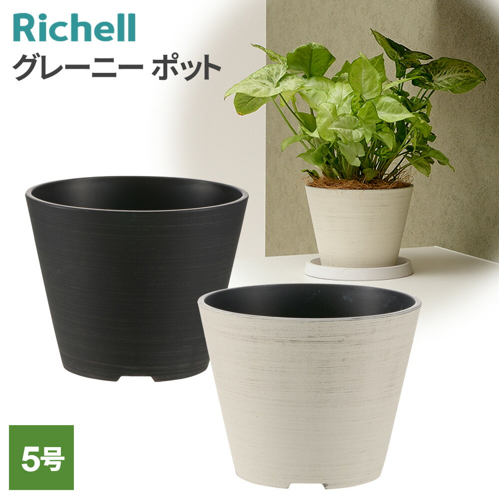 鉢カバーとしても使えるおしゃれなデザインがインテリアに馴染む、植え込み口が広い鉢【5号】。観葉植物や多肉植物の植え込みに最適です。おしゃれなデザインペイントした手作りの風合いがおしゃれ。インテリアにも馴染みます。合わせて使える3.5号ポリポ...