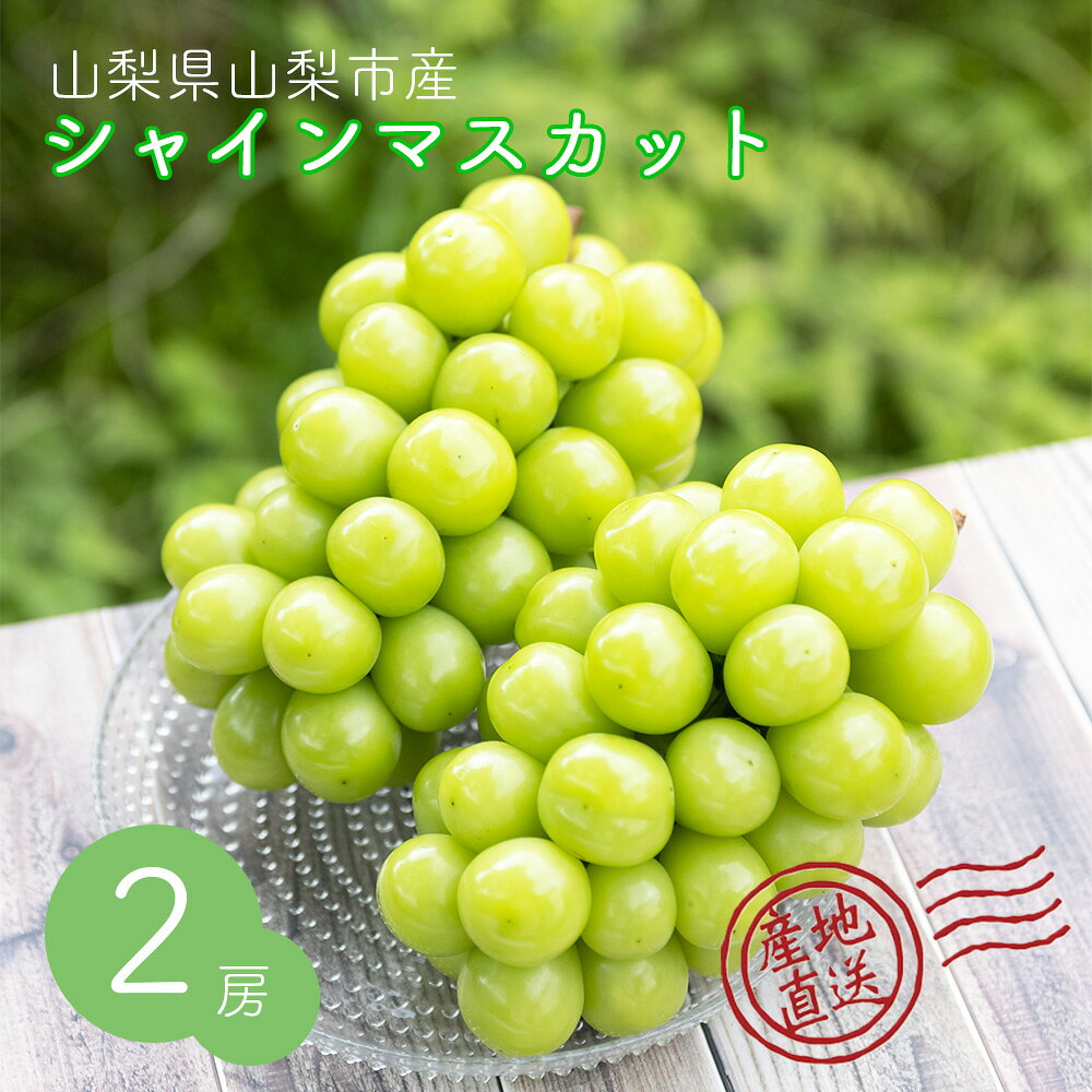 商品説明 商品名 山梨県産農福連携シャインマスカット 商品到着後について こちらの商品クール便でお届けします。 到着後は冷蔵庫で保管頂き、お早めにお召し上がりください。 ぶどうの粒の房落ちについて 美味しいぶどうをお届けするために細心の注意...
