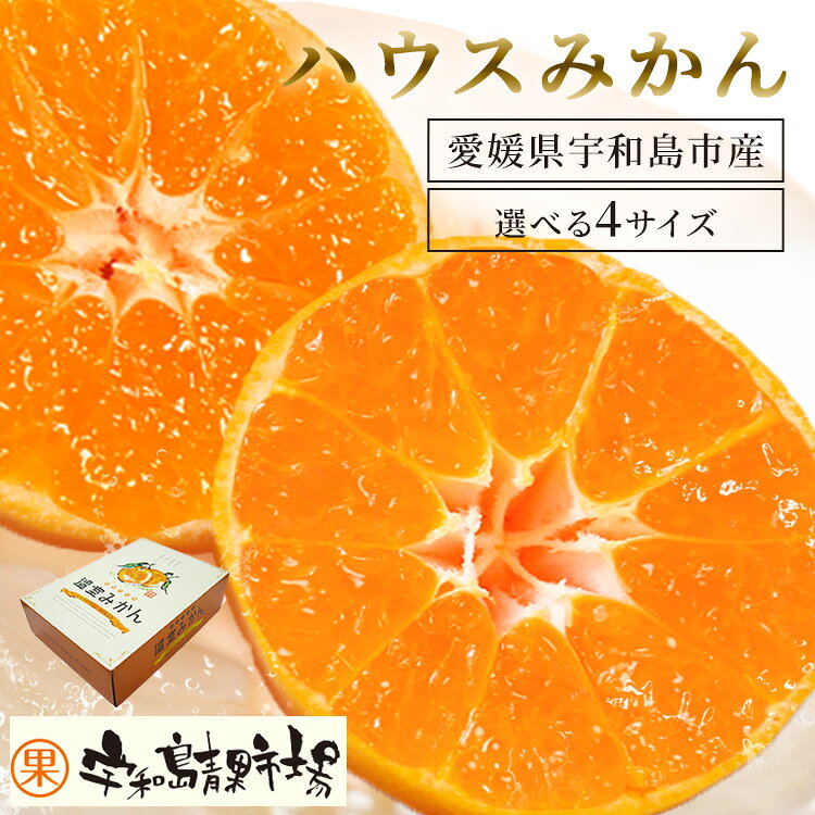 ひと足早く、夏のごちそう。甘さ際立つハウスみかん。温度と水分を丁寧に管理したハウス栽培で育てた、甘みの濃いみかん。皮は薄く、果肉はなめらか。口に入れた瞬間、コクのある甘さが広がります。暑い季節にも食べやすい、みずみずしく上品な味わいをお楽し...