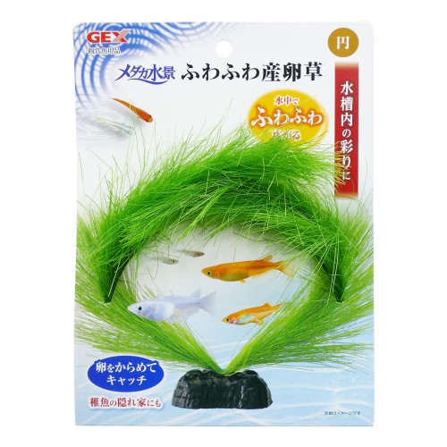 水槽内の彩りに！ 水中でふわふわ広がるふわふわ産卵草 ふわふわの部分に卵をからめてキャッチ。稚魚の隠れ家にも最適。 ＜メダカの産卵を楽しむ水草＞メダカが卵を産みつけやすい凸凹のある素材を選びました。円形に曲がっているので卵を産みつけやすく、...