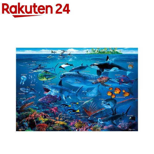 お店TOP＞ベビー＆キッズ＞おもちゃ・育児サポート＞おもちゃ(知育具)＞パズル＞パズル 海の生物おぼえちゃおう！ (1個)【パズル 海の生物おぼえちゃおう！の商品詳細】●リアルなイラストで海の生物たちをおぼえちゃおう！●パッケージの裏面には...