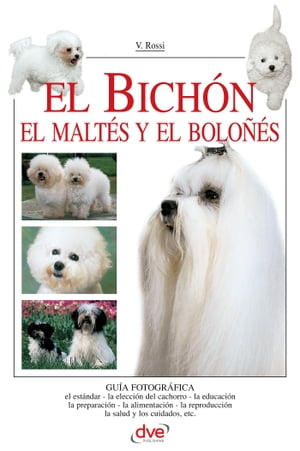 ＜p＞Los malteses, bolo?eses y dem?s bich?n son perros peque?os, blancos, con mucho pelo y muy alegres, que, a pesar de qu...
