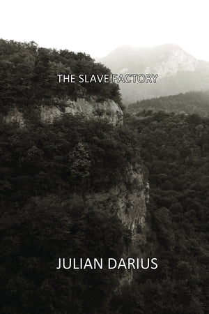 ＜p＞Slave factories, a crucial but largely forgotten part of the slave trade, were bases on the African coast that existe...