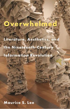 ＜p＞＜strong＞An engaging look at how debates over the fate of literature in our digital age are powerfully conditioned by ...
