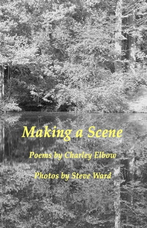 ＜p＞Sparkling with drama and humour, Making a Scene takes the reader on poetic journeys through beautiful countryside wit...