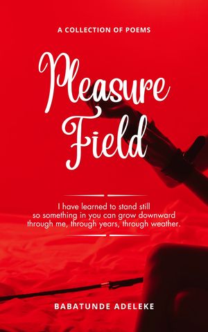 ＜p＞Pleasure Field is a lush, unflinching exploration of longing, touch, and emotional weather. Rooted in the rhythms of ...