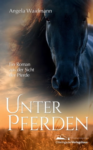 ＜p＞Die junge Friesenstute Meisje - verwirrt und verzweifelt, weil man sie verkauft hat, die neue Eigent?merin arrogant u...